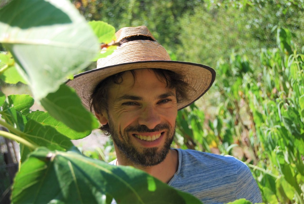 Vignoble et biodiversité|